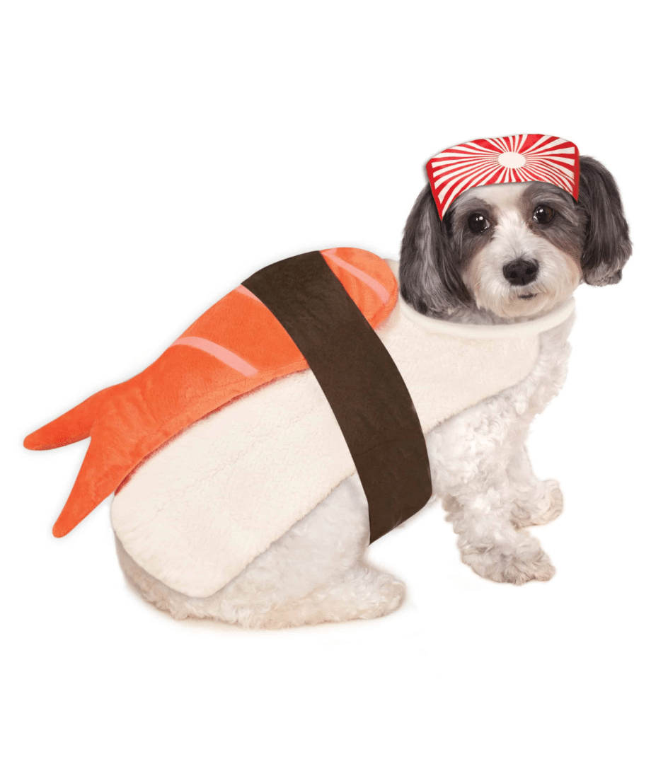 Guide for Halloween Costumes for Dogs - Ideas & Inspiration