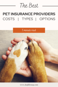 Shopping Pet Insurance For Dogs - Plans, Providers, Costs