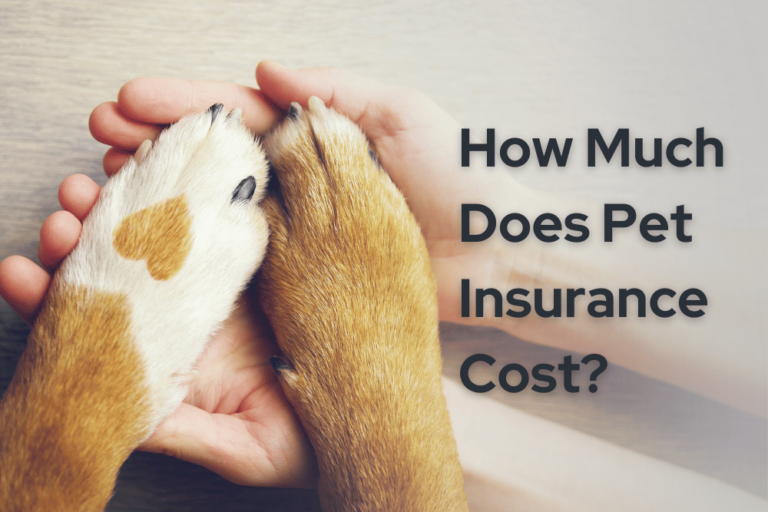 Shopping Pet Insurance For Dogs - Plans, Providers, Costs