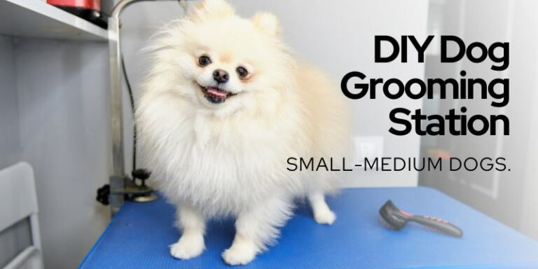 Your Guide On How To Make A DIY Dog Grooming Station At Home