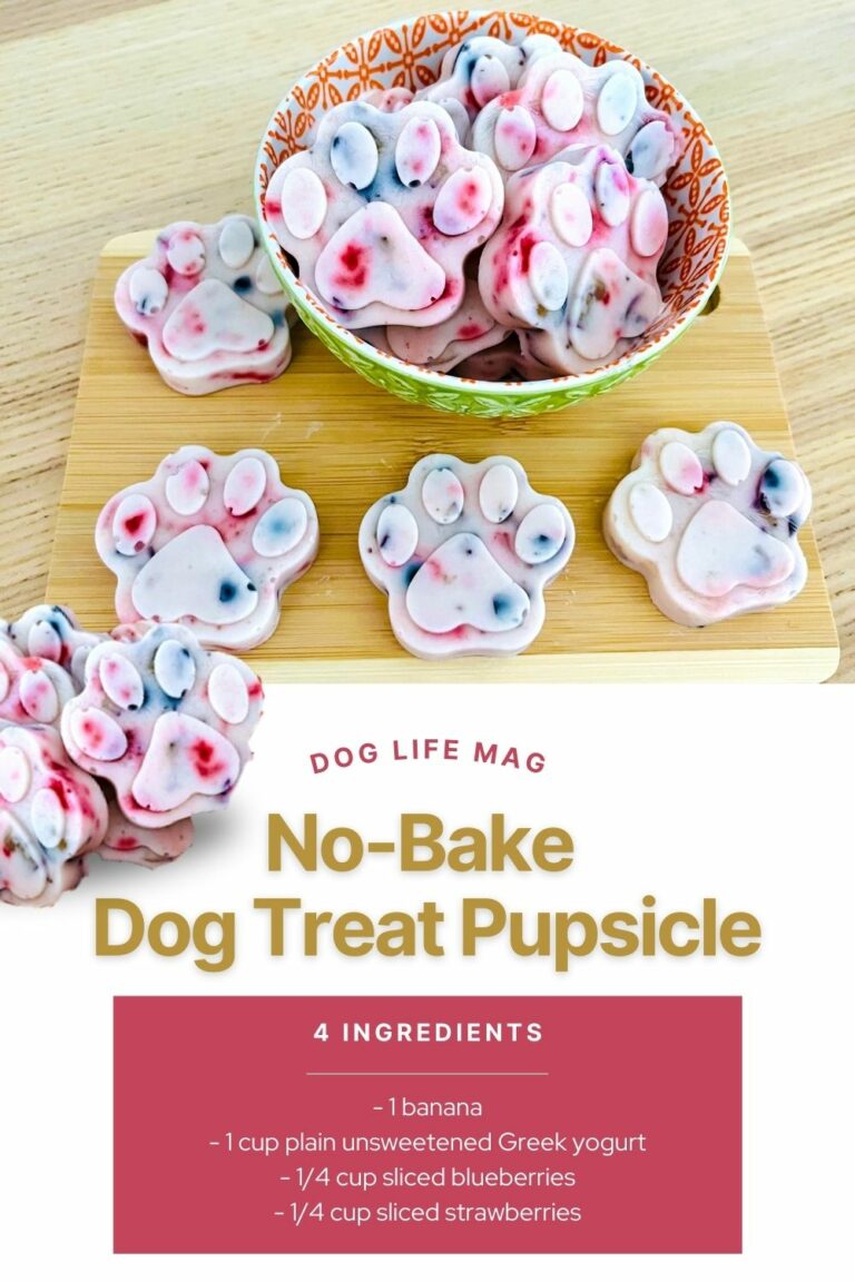 Yogurt & Banana Pupsicle - Frozen No Bake Dog Treat Popsicle