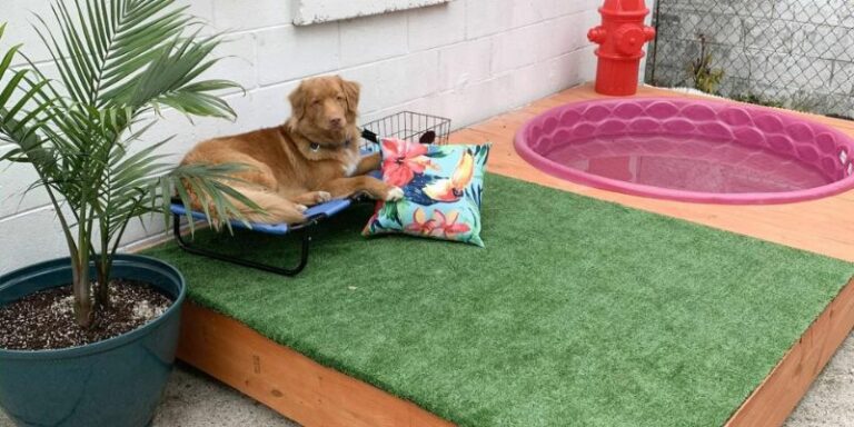 How To Make A Dog Patio For Outdoor Space: Dog Patio Ideas
