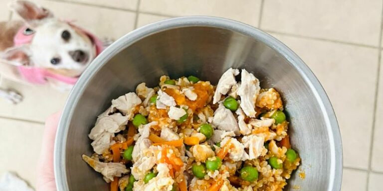 Delicious Homemade Chicken & Pumpkin Dog Food Recipe
